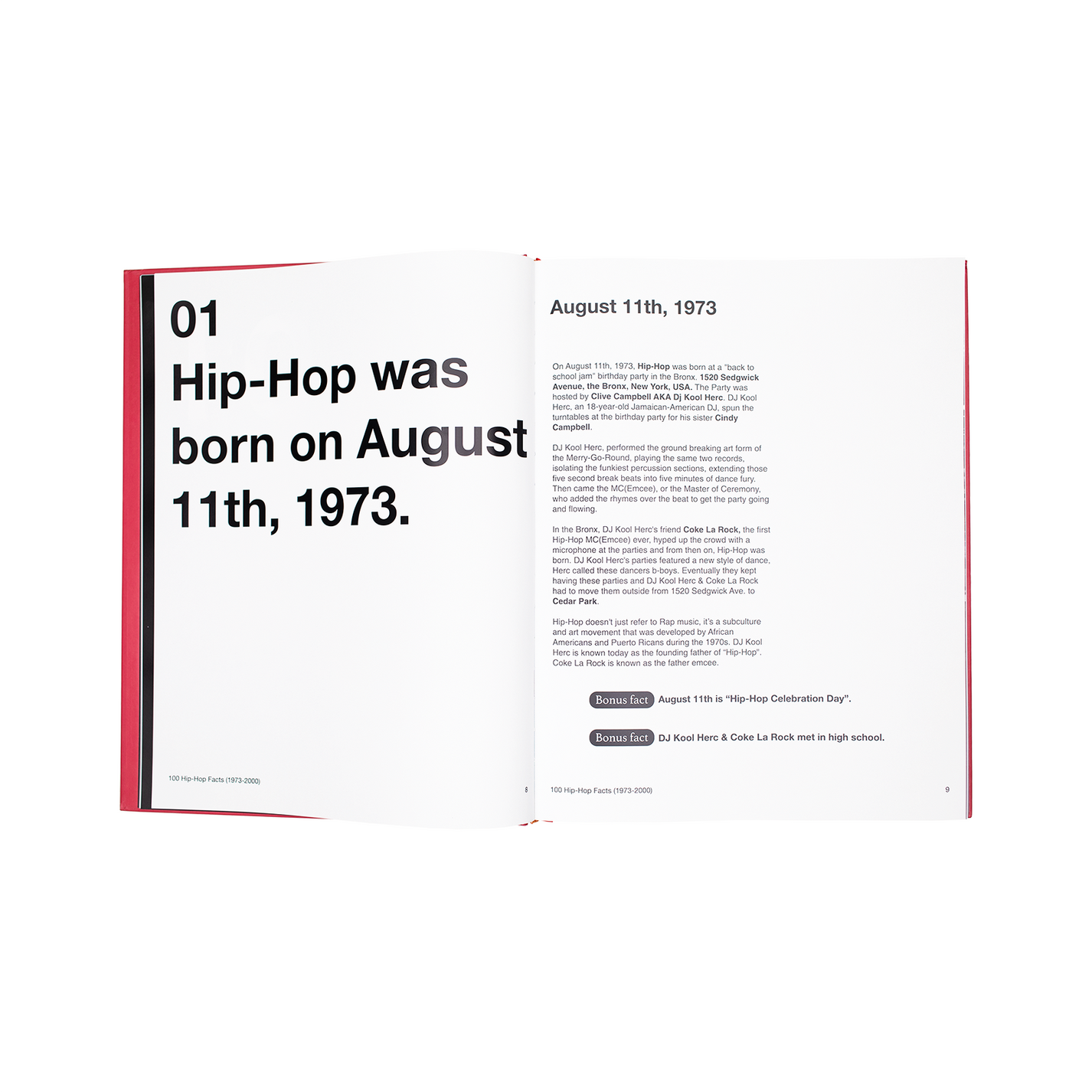 100 Hip-Hop Facts (1973-2000) | DailyRapFacts Store