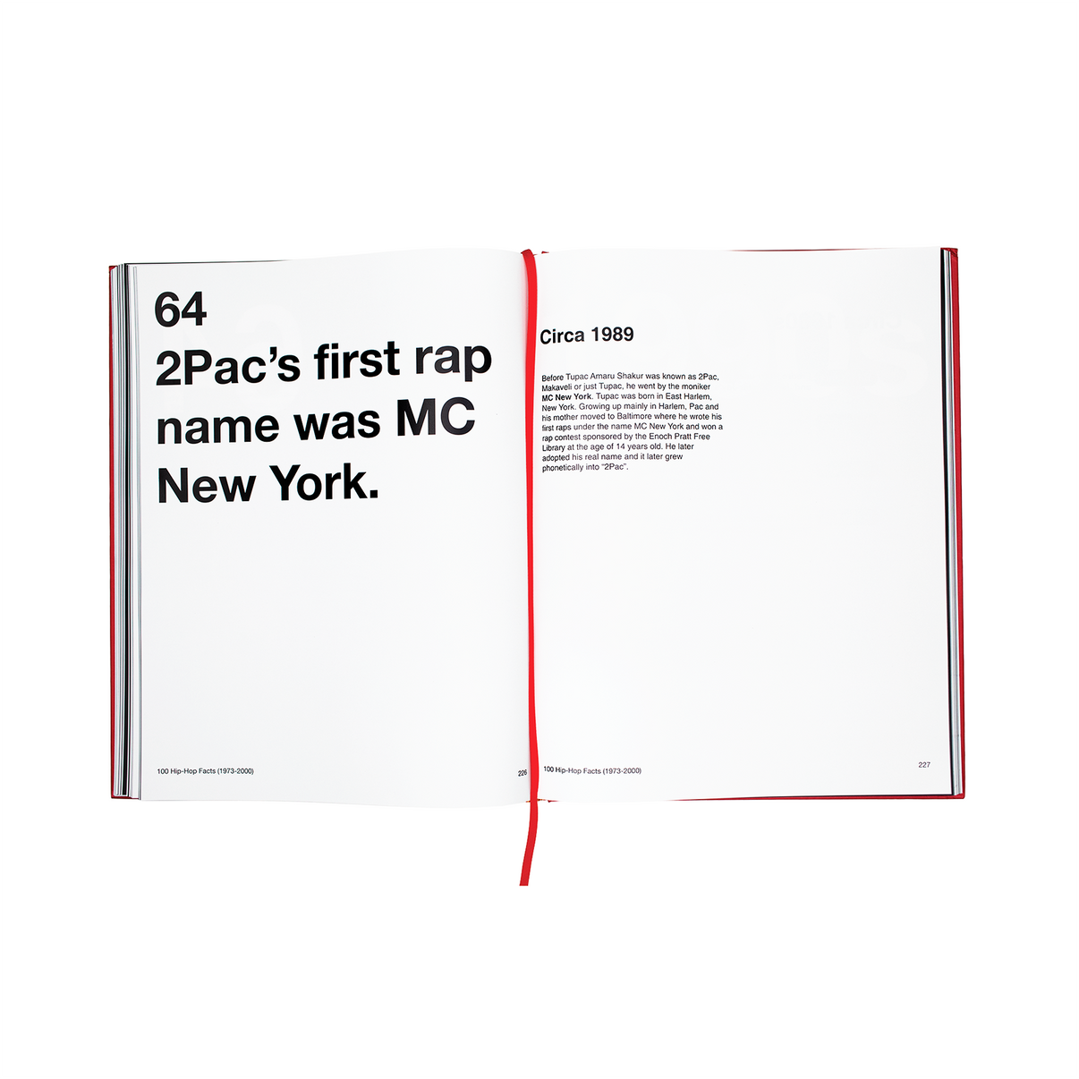 100 Hip-Hop Facts (1973-2000) | DailyRapFacts Store